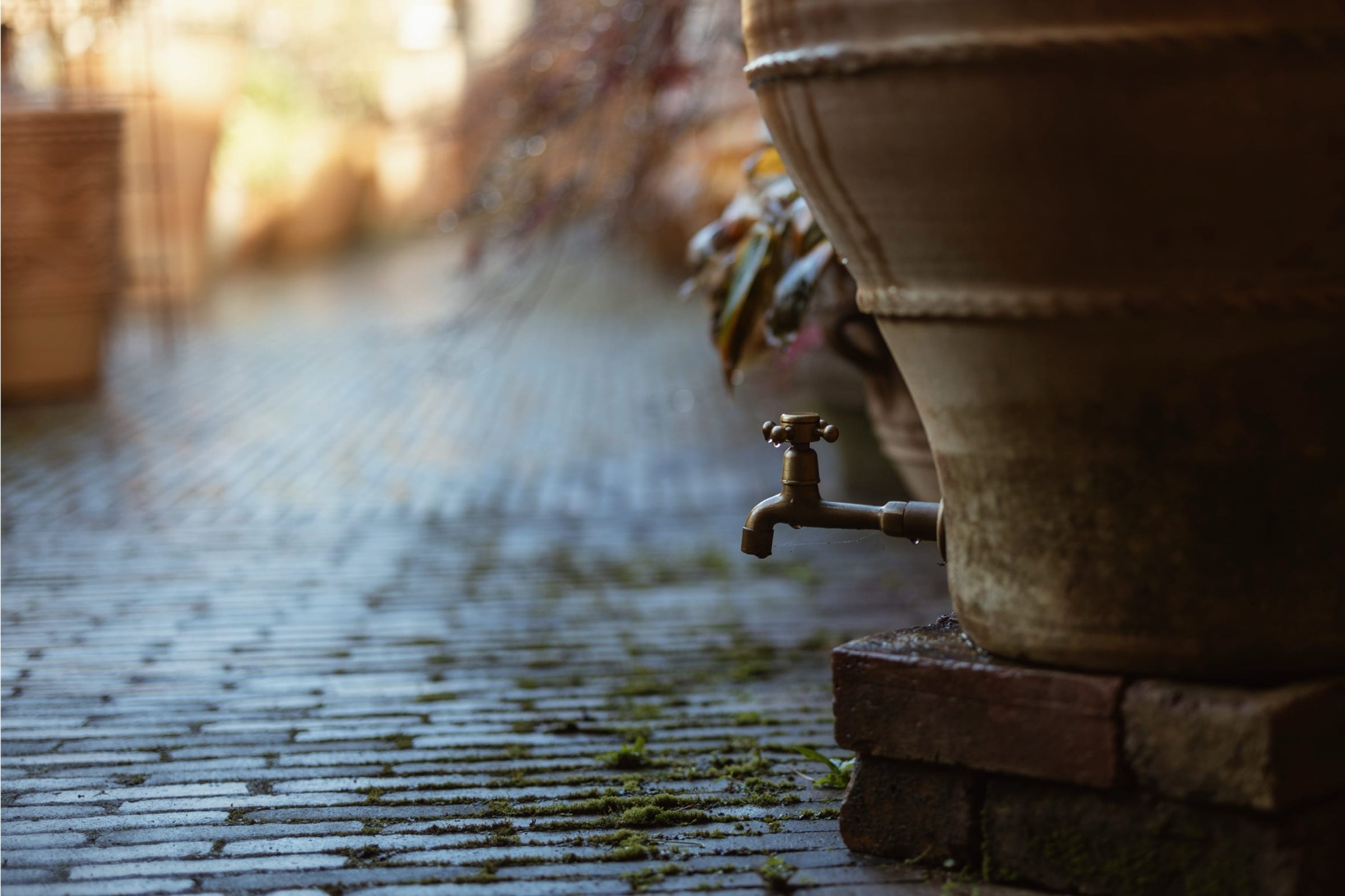 Water Butts – Pots & Pithoi